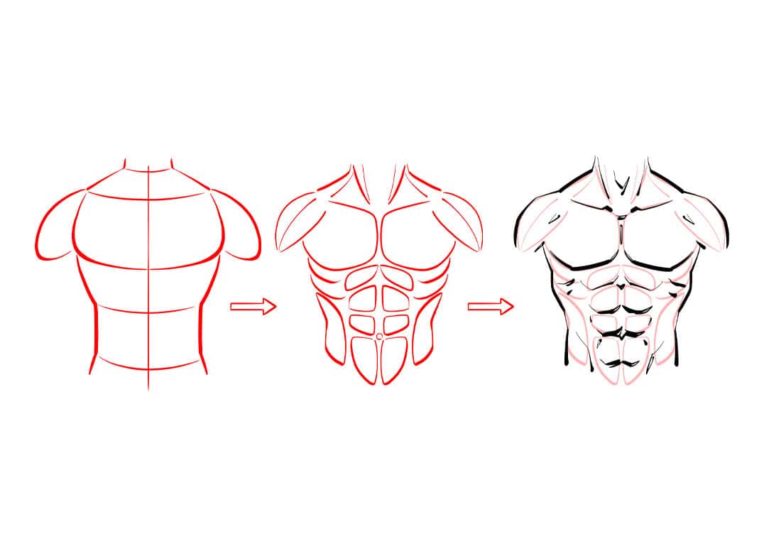 How to draw torso muscles - The Phoenix comic