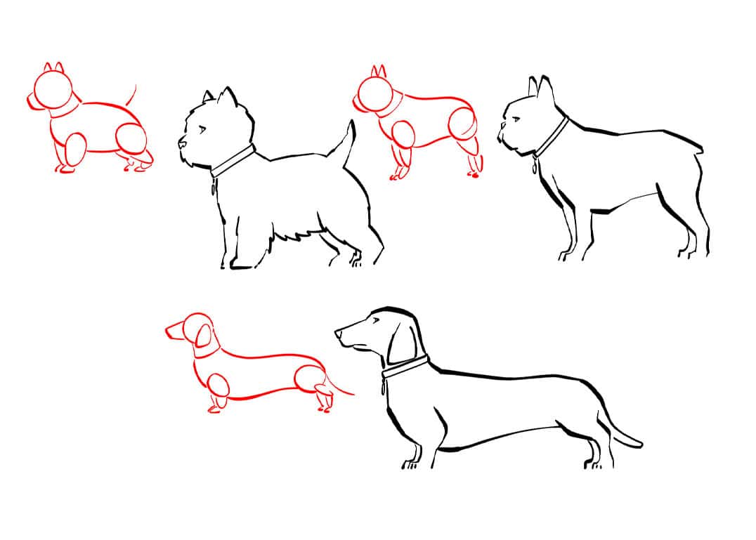 How to draw dogs - The Phoenix comic